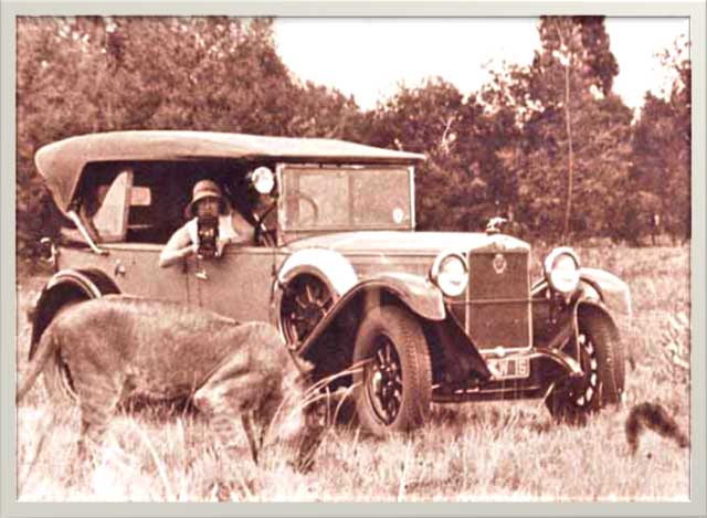 Selati Line: Walk in the Park | Wildmoz | Magazine